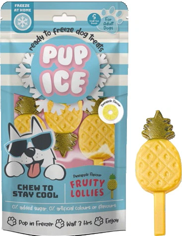 Pup ice fruit lollie ananas hondenijsje - Van Noord's Dierenvoeders